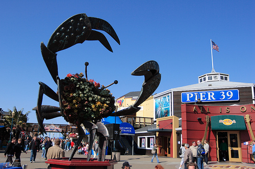 Wandering at Pier 39 | Wandering New Heights
